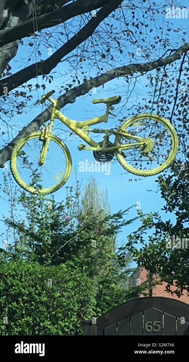 Bike in a tree Stock Photo - Alamy
