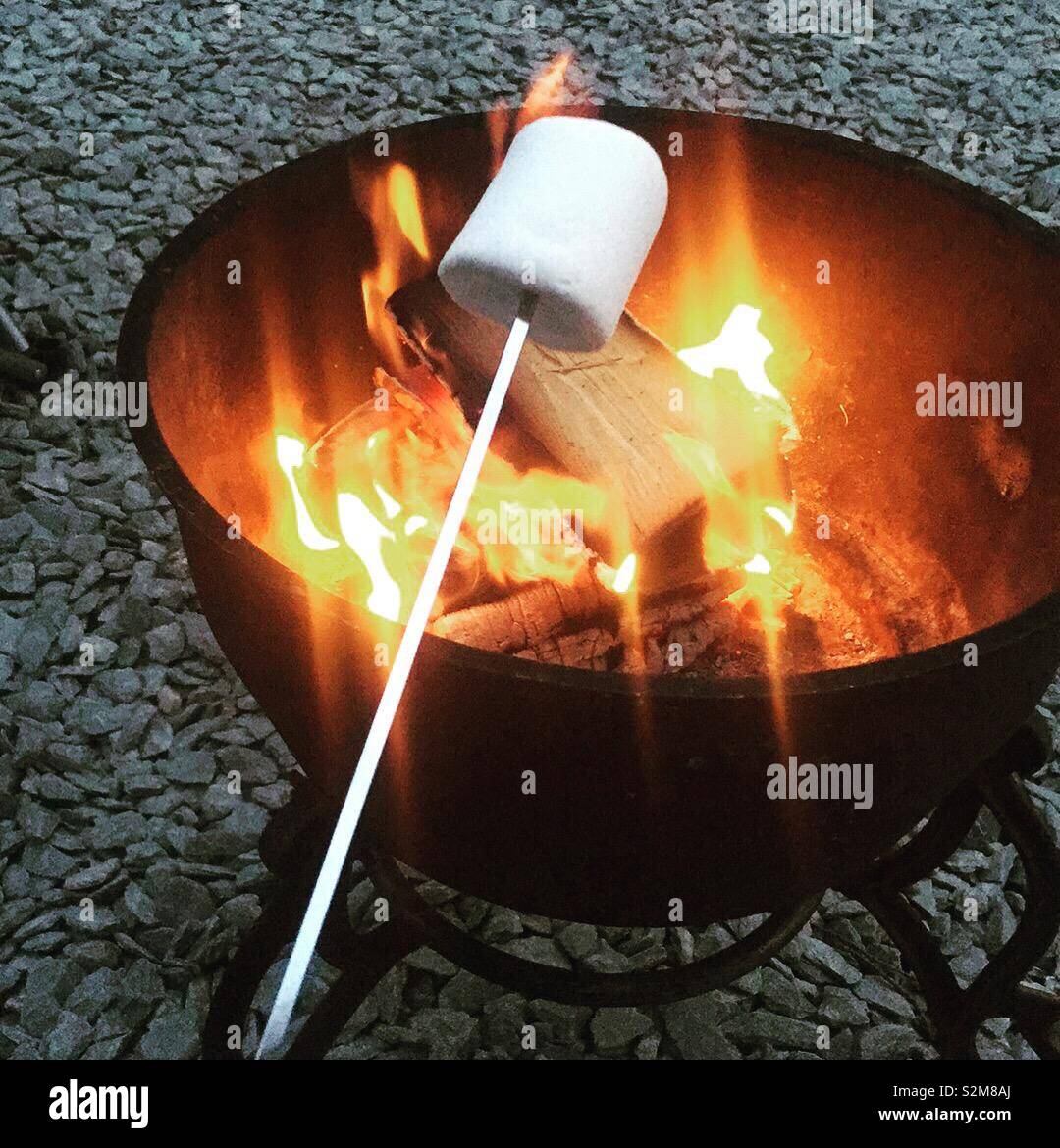 Marshmallow toasting, camp fire food Stock Photo - Alamy
