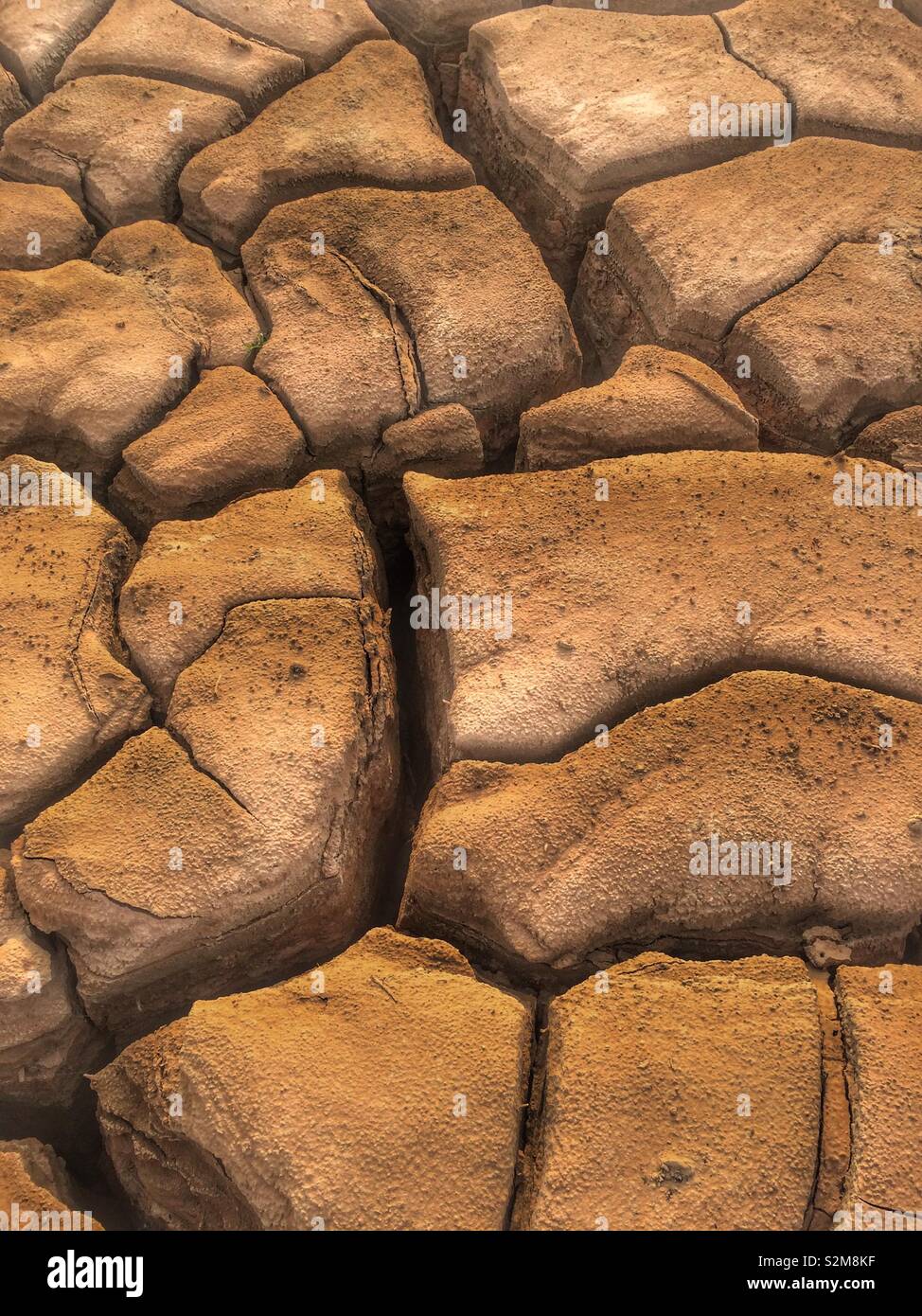 Mold pattern hi-res stock photography and images - Alamy