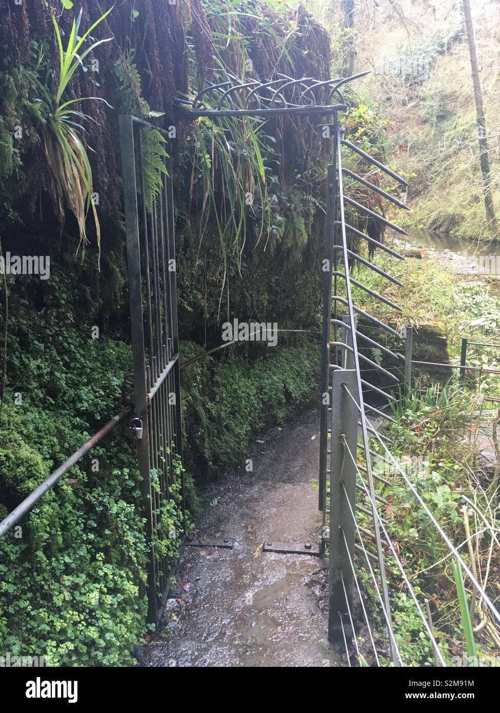 Woodland gate and fence hi-res stock photography and images - Alamy