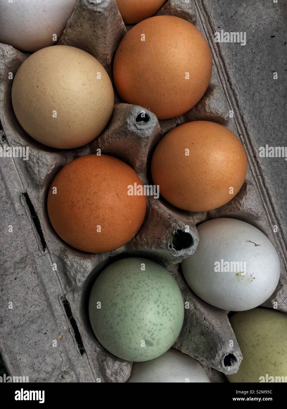 Colorful farm eggs hi-res stock photography and images - Alamy
