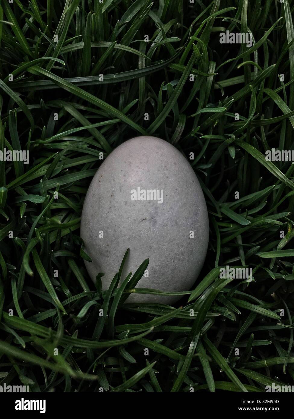 Free range egg farming hi-res stock photography and images - Alamy