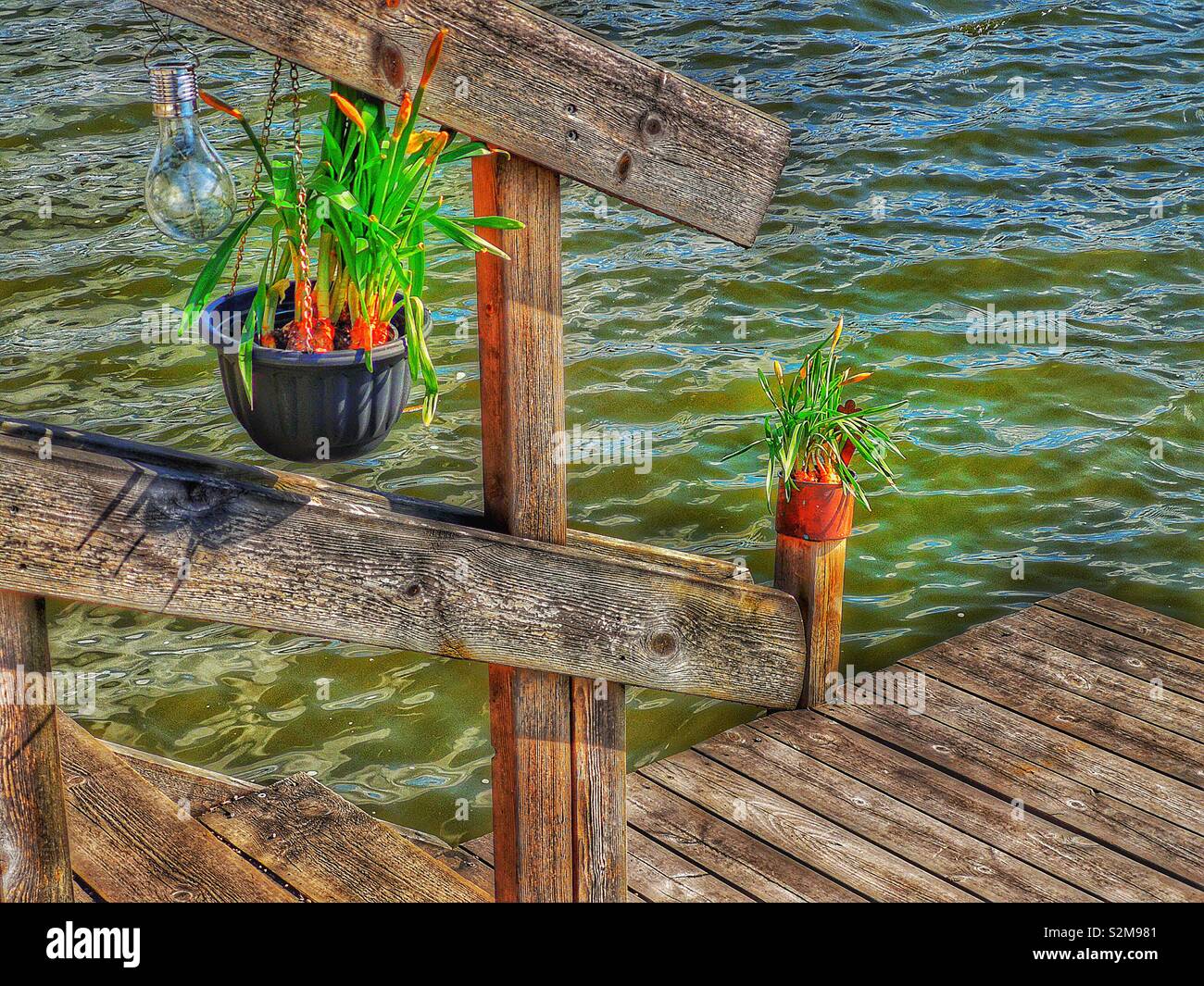 Pot plants on wooden jetty by the Baltic Sea sweden Stock Photo - Alamy