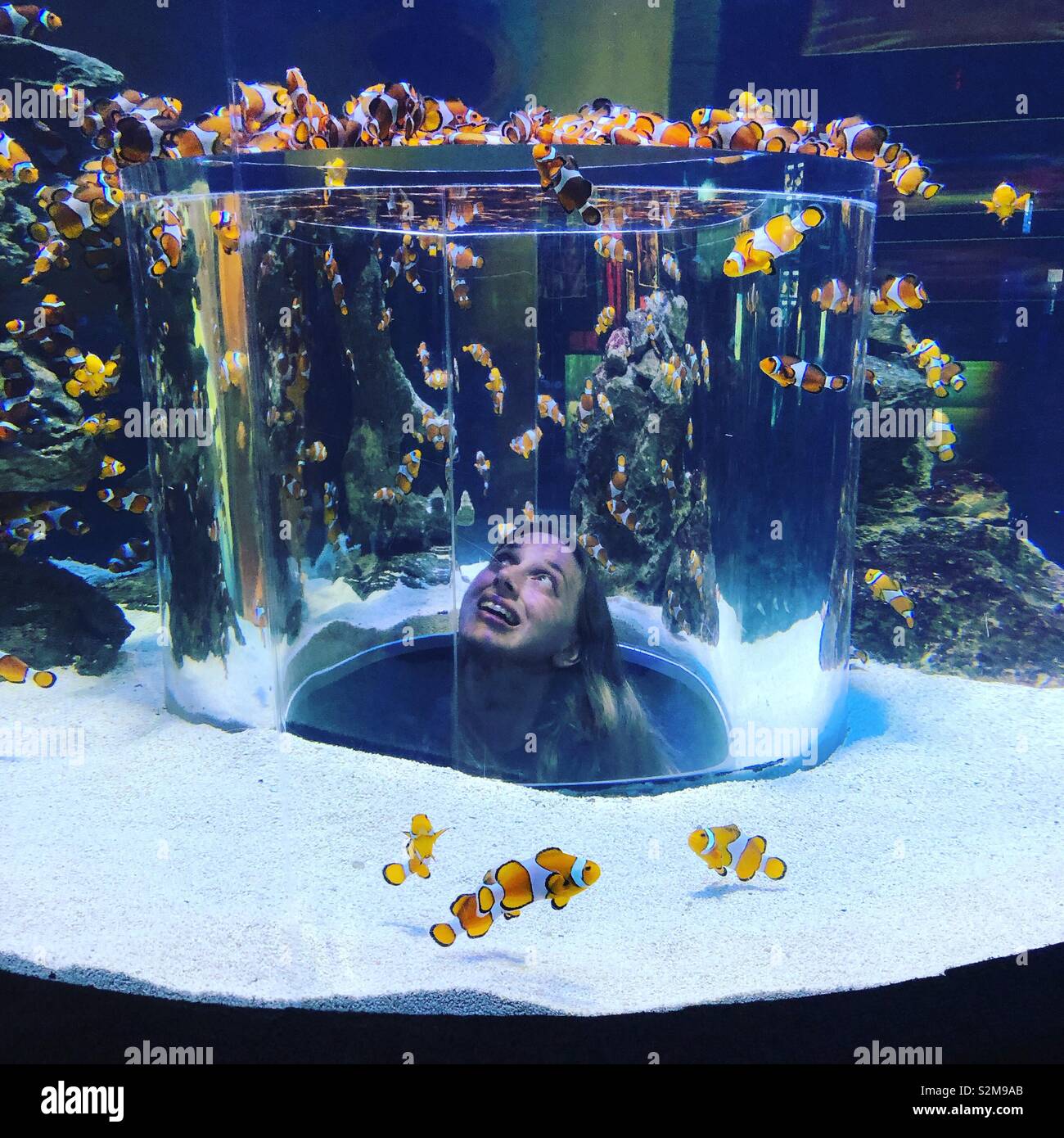 Two oceans aquarium cape town hi-res stock photography and images - Alamy