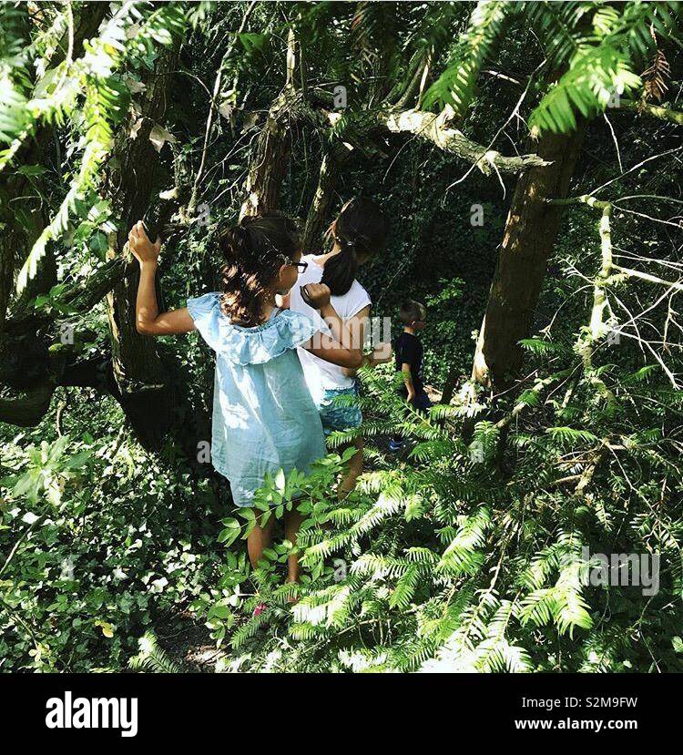 Searching in the woods, nature for the children get out and about Stock ...