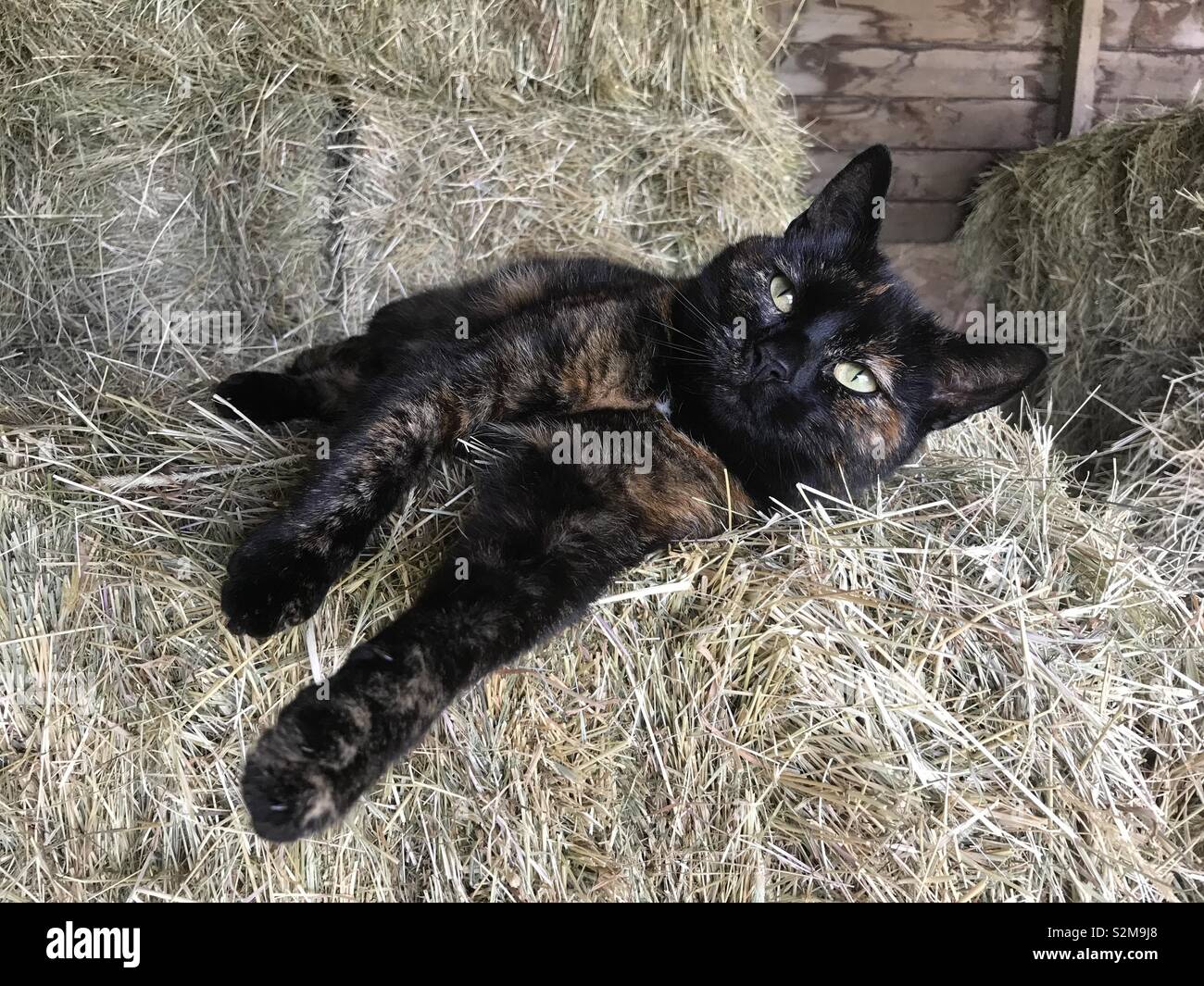Hay bed hi-res stock photography and images - Alamy