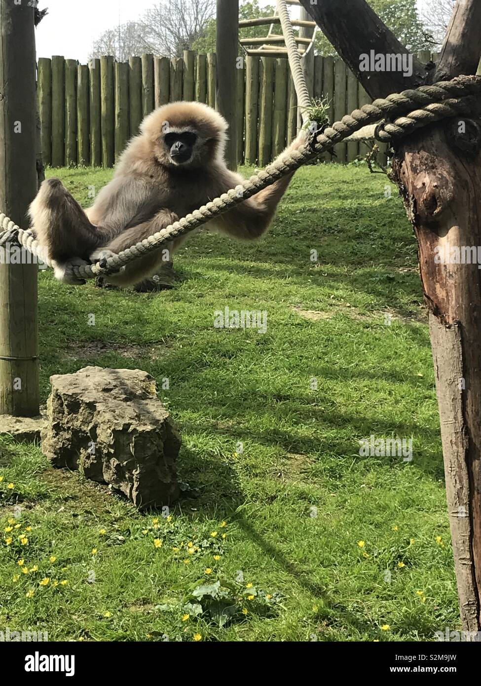 Rope enclosure hi-res stock photography and images - Alamy