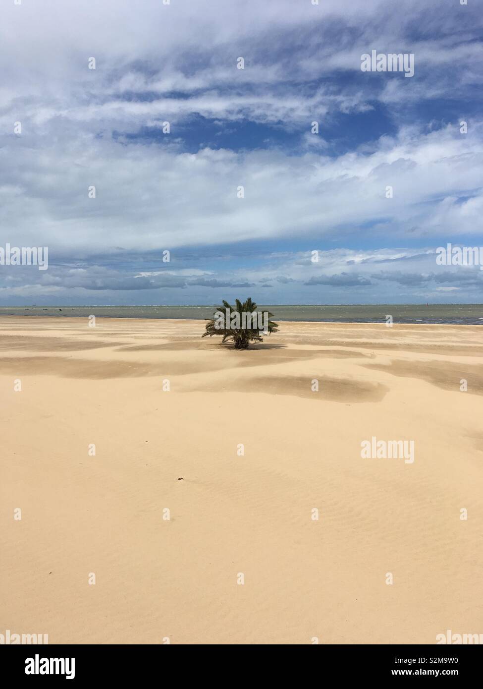 Jerez spain hi-res stock photography and images - Alamy