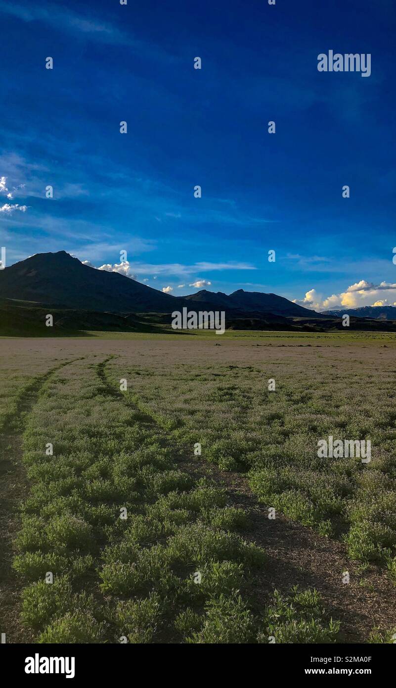 Field and hills Stock Photo - Alamy