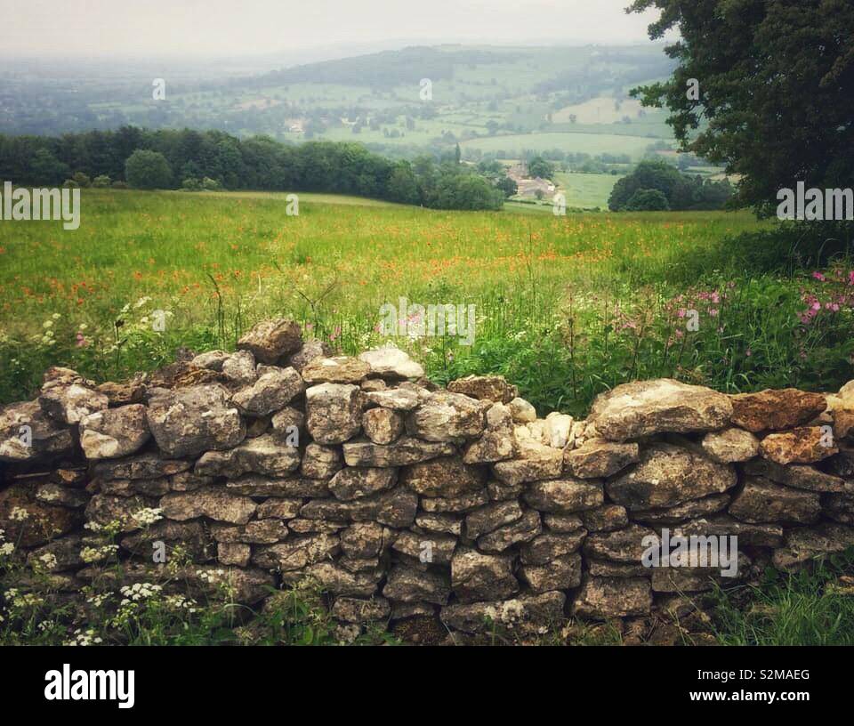 Stone wall and field Stock Photo - Alamy