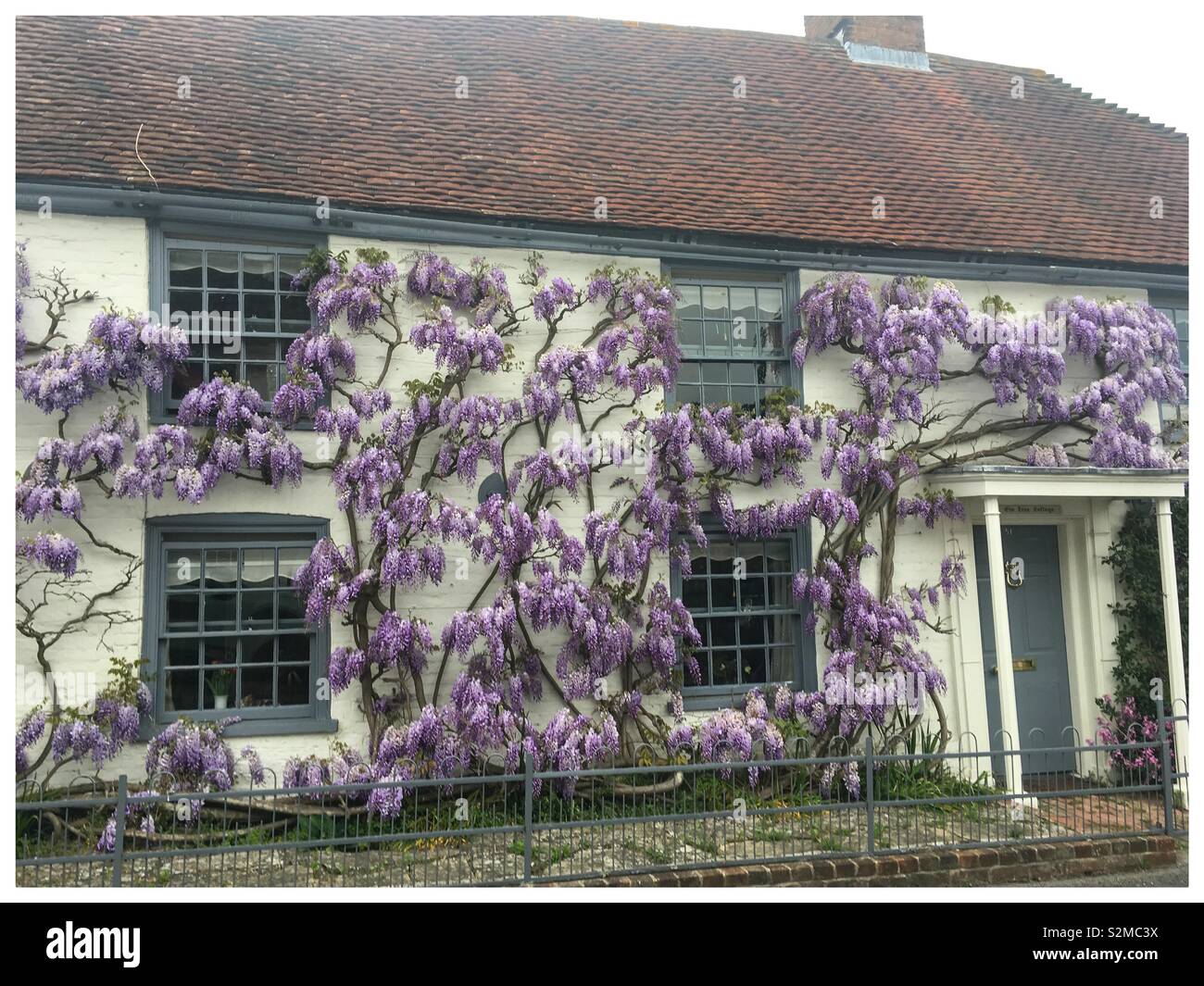 Wisteria covered house hi-res stock photography and images - Alamy