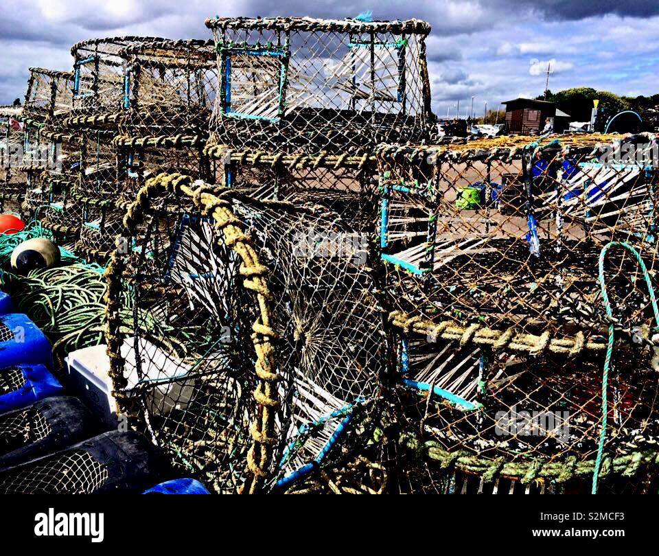 Fish dock traps Stock Photo - Alamy