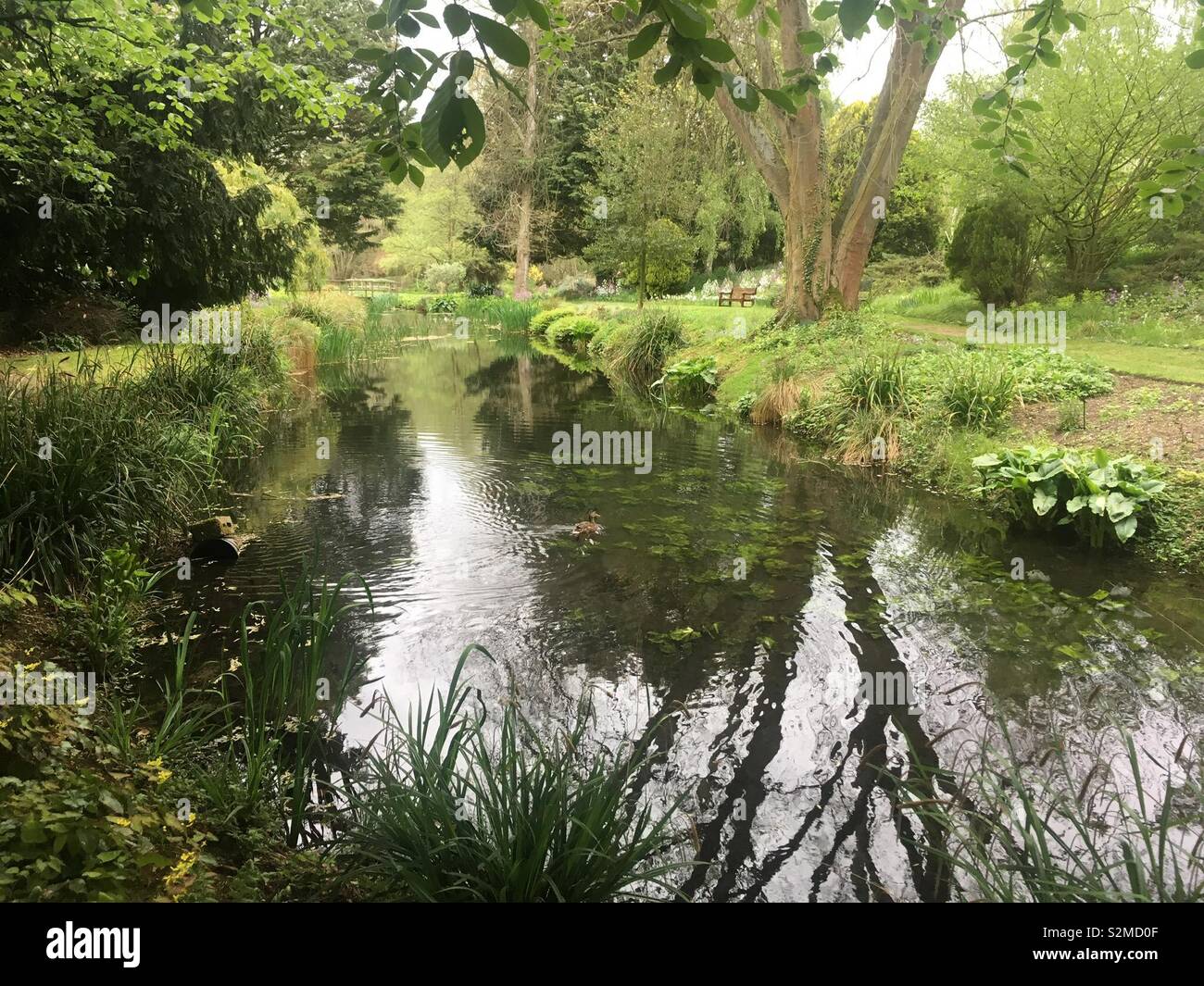 A country stream Stock Photo - Alamy