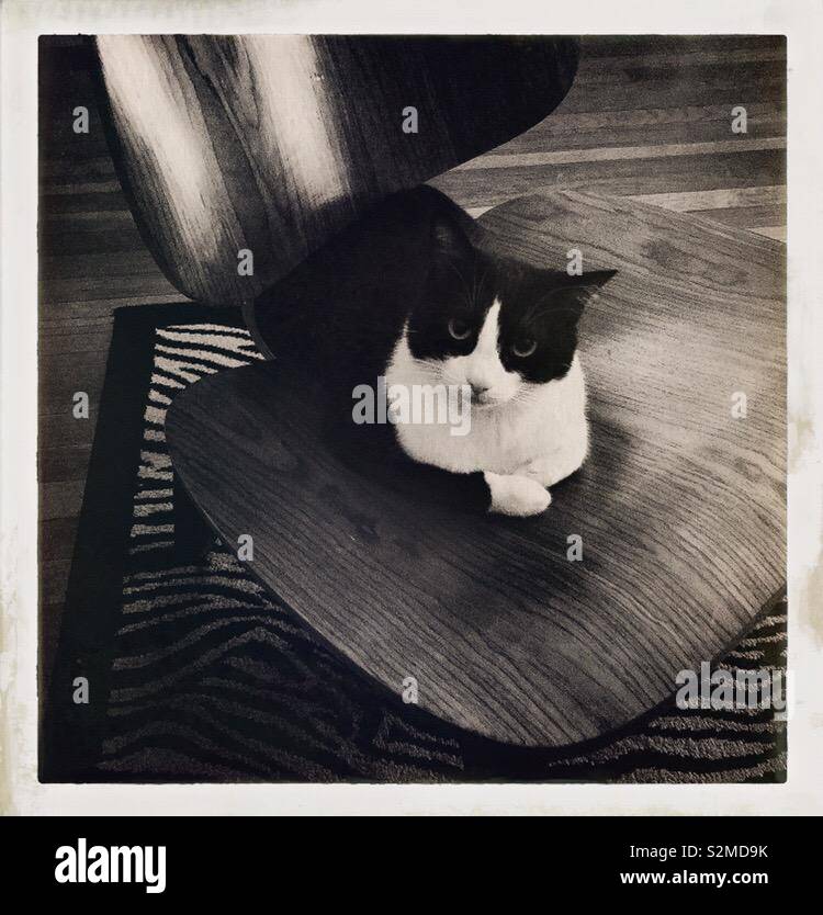 Eames hi-res stock photography and images - Alamy