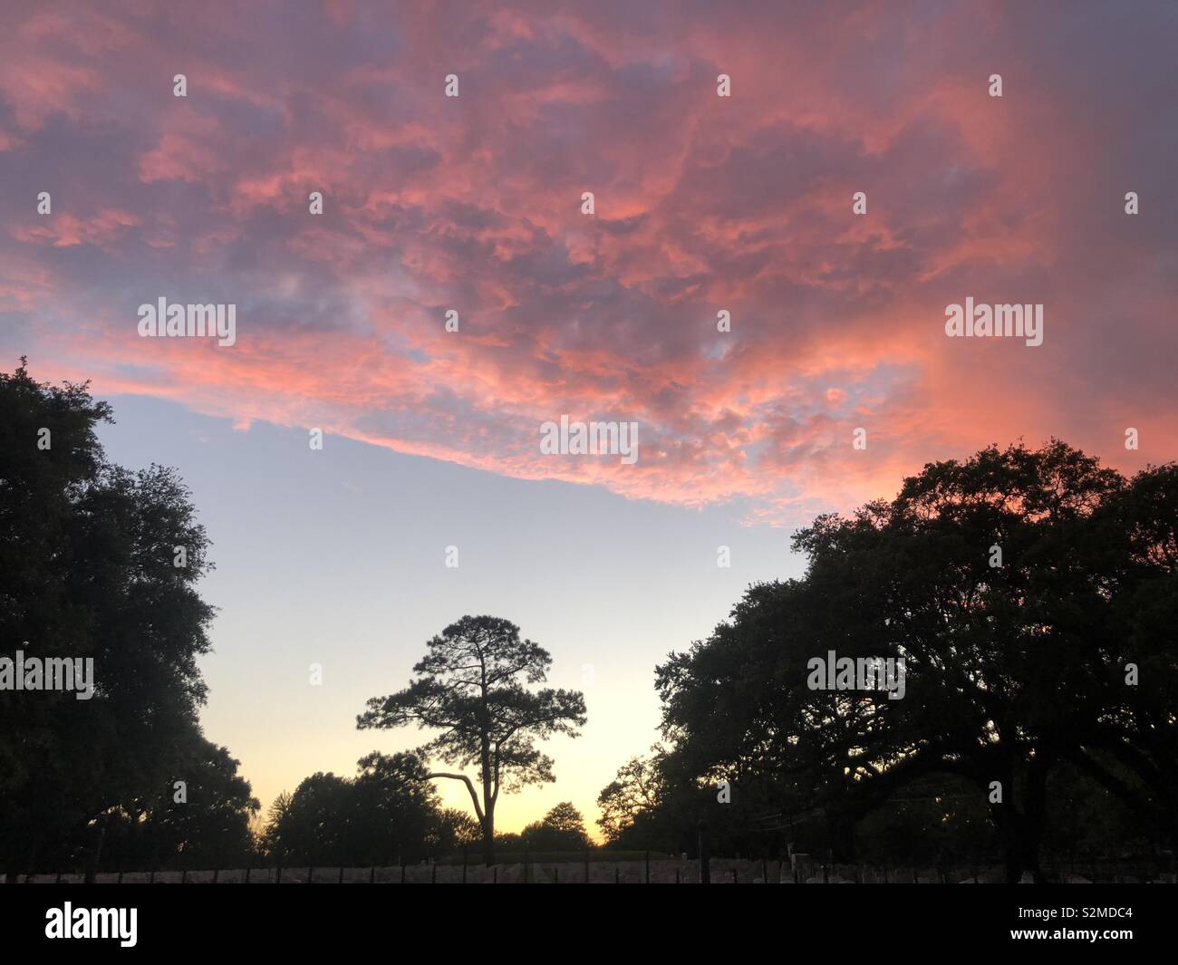 Oak and sun hi-res stock photography and images - Alamy