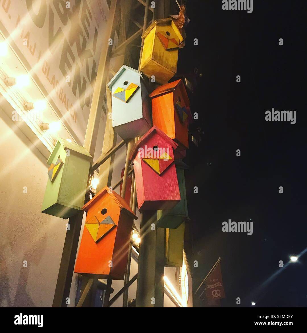 City bird boxes hi-res stock photography and images - Alamy