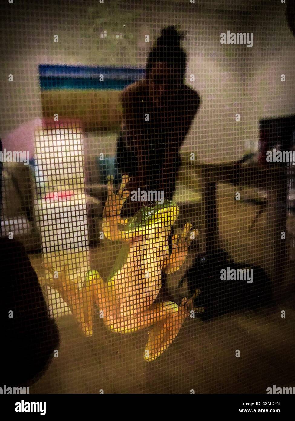 Eyeing you up hi-res stock photography and images - Alamy