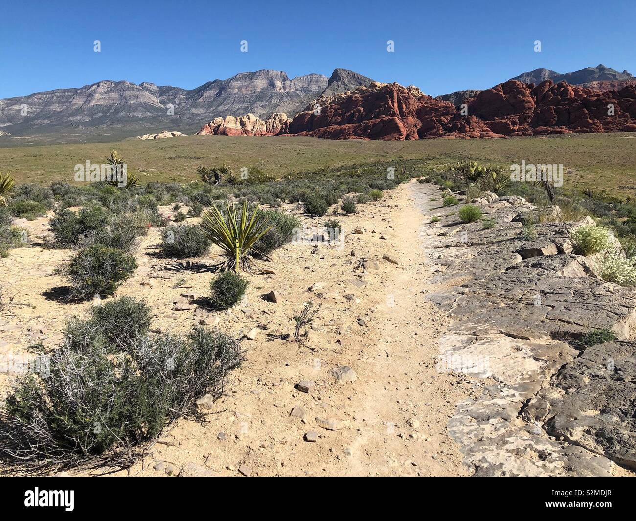 Desert trail hi-res stock photography and images - Alamy