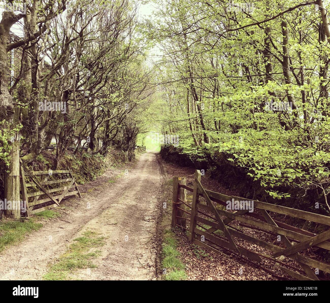 Stony lane hi-res stock photography and images - Alamy