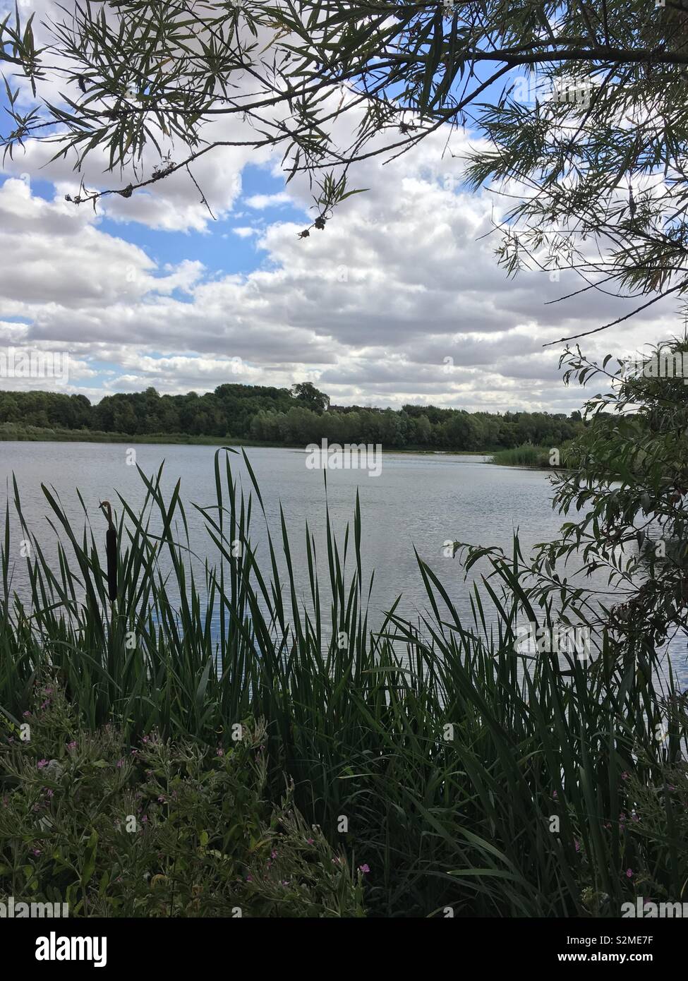 Stanwick lakes hi-res stock photography and images - Alamy
