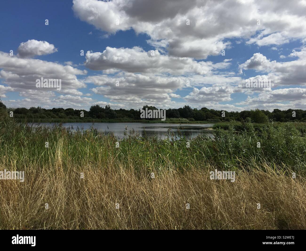 Grassland view hi-res stock photography and images - Alamy