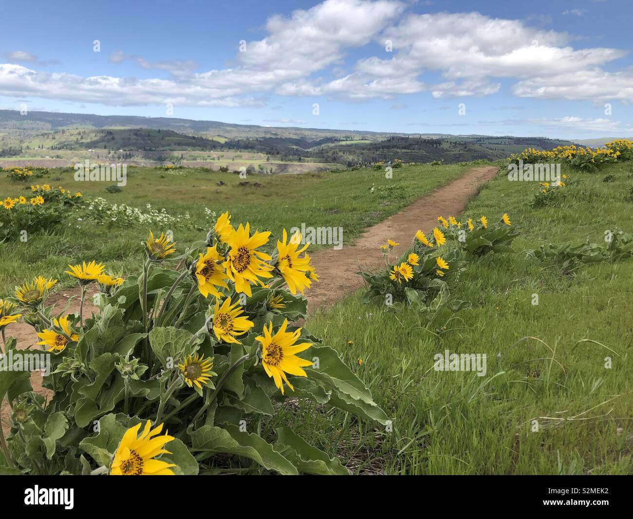 Tom mccall preserve hi-res stock photography and images - Alamy