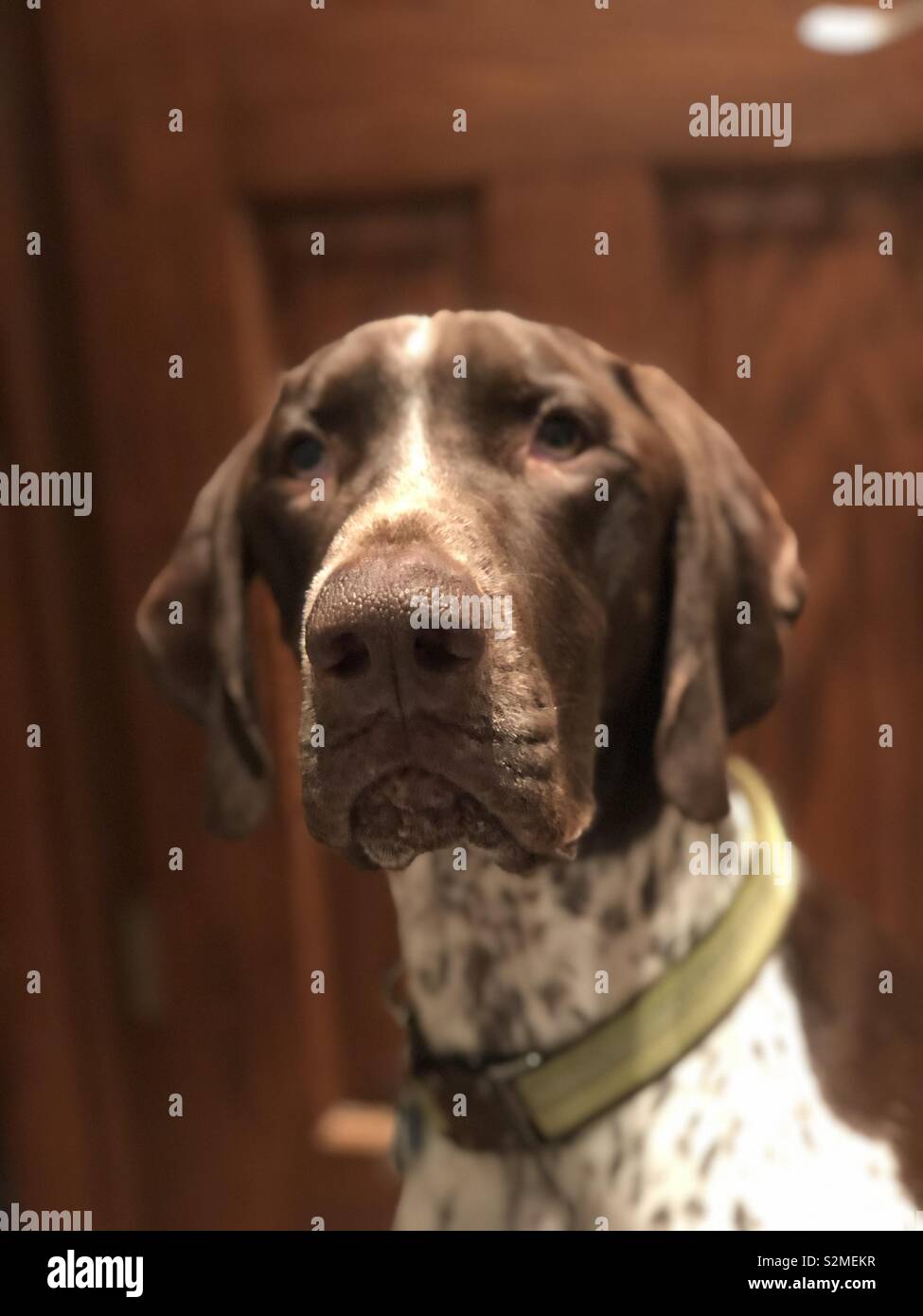 Liver spots hi-res stock photography and images - Alamy