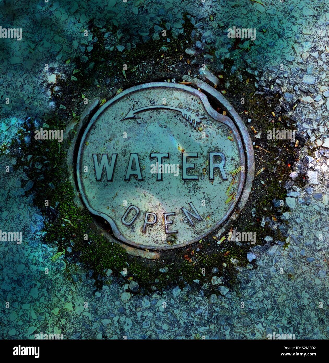 Water utility cover at Sleepy Hollow Cemetery, Sleepy Hollow, New York ...