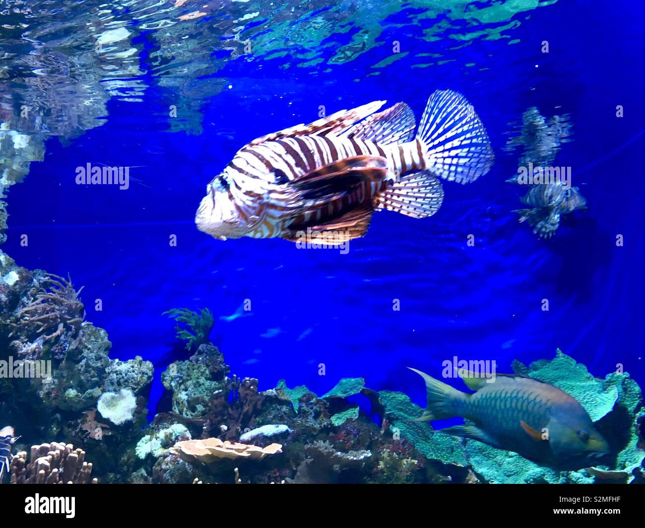 Brilliant blue background hi-res stock photography and images - Alamy