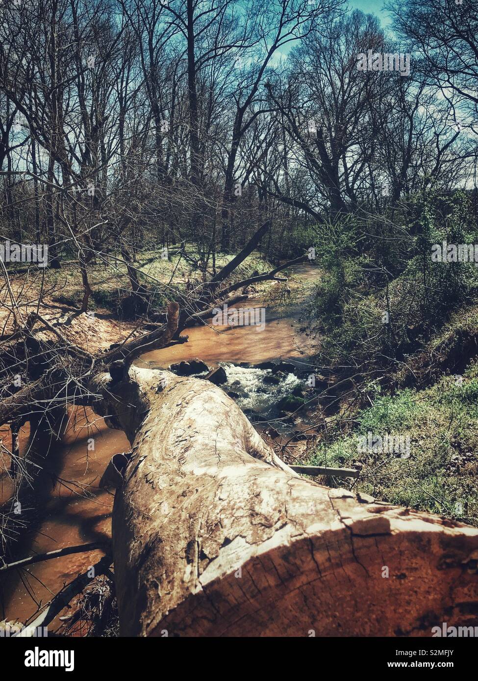 Stream creek river hi-res stock photography and images - Alamy