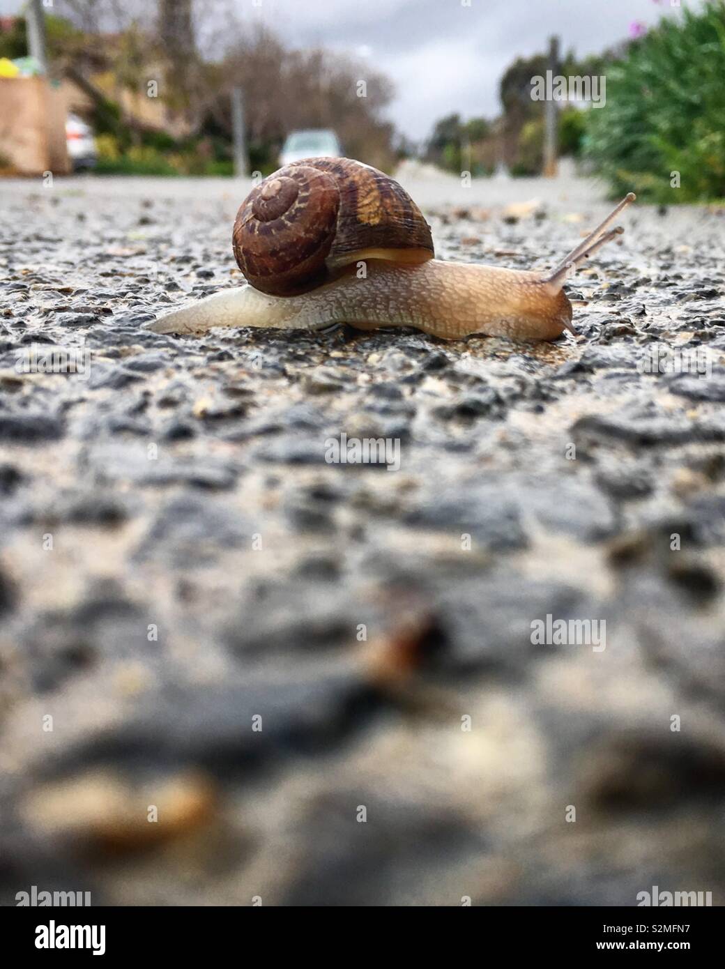 Pace house hi-res stock photography and images - Alamy