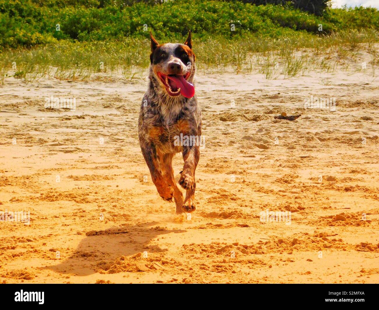 Beach on tongue hi-res stock photography and images - Alamy