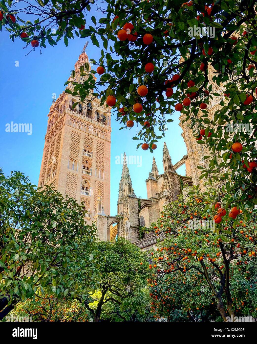 Seville oranges hi-res stock photography and images - Alamy