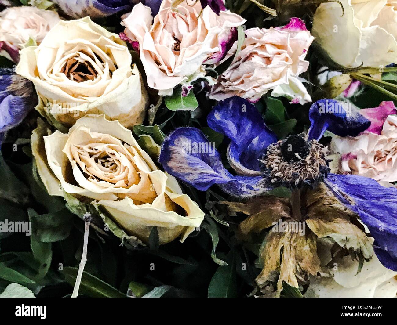 Dead bouquet hi-res stock photography and images - Alamy