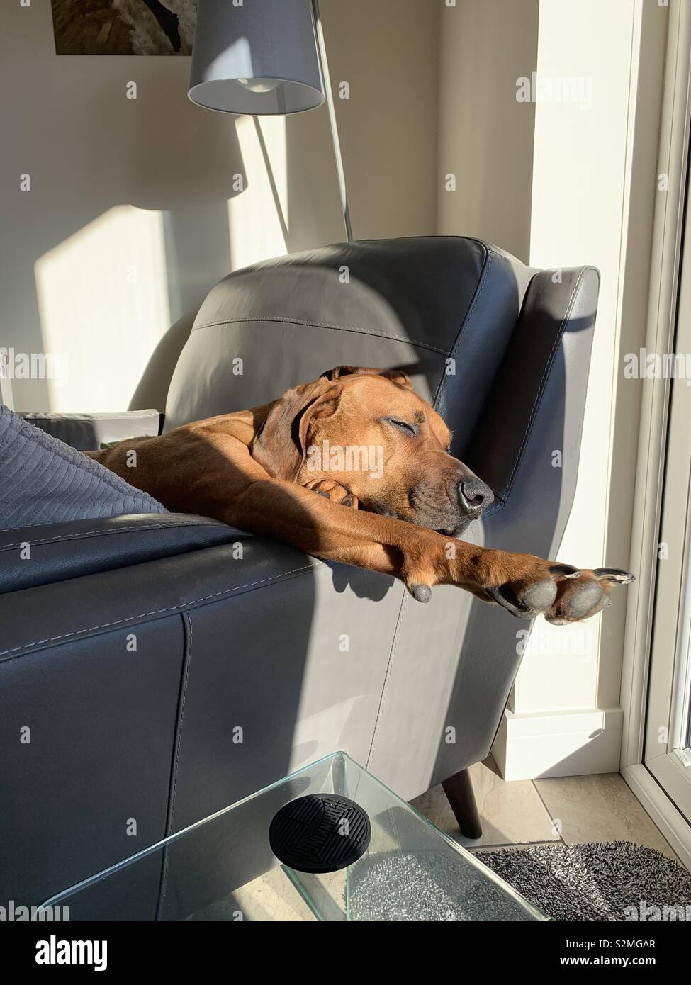 Sleeping dreaming hi-res stock photography and images - Alamy