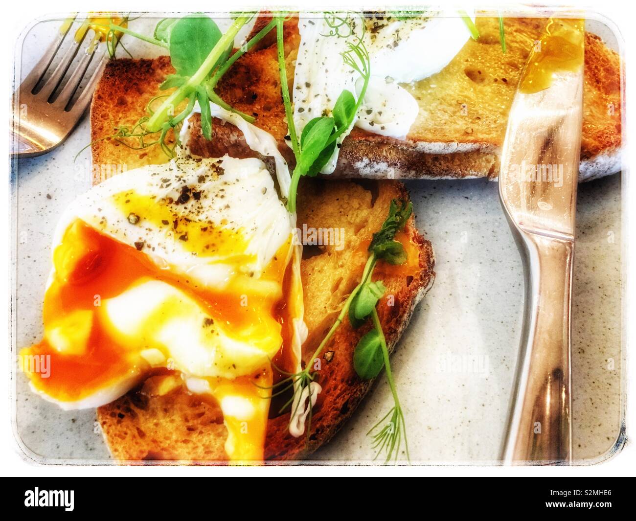 Pouched egg hi-res stock photography and images - Alamy