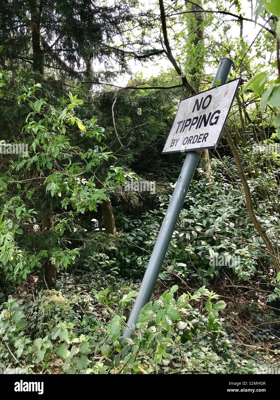 Tipped sign saying ‘no tipping’sign in urban woodland Stock Photo - Alamy