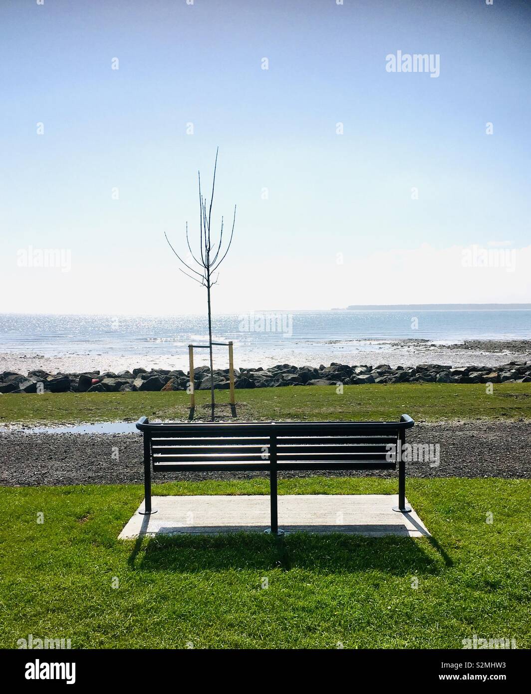 Bench seaside hi-res stock photography and images - Alamy