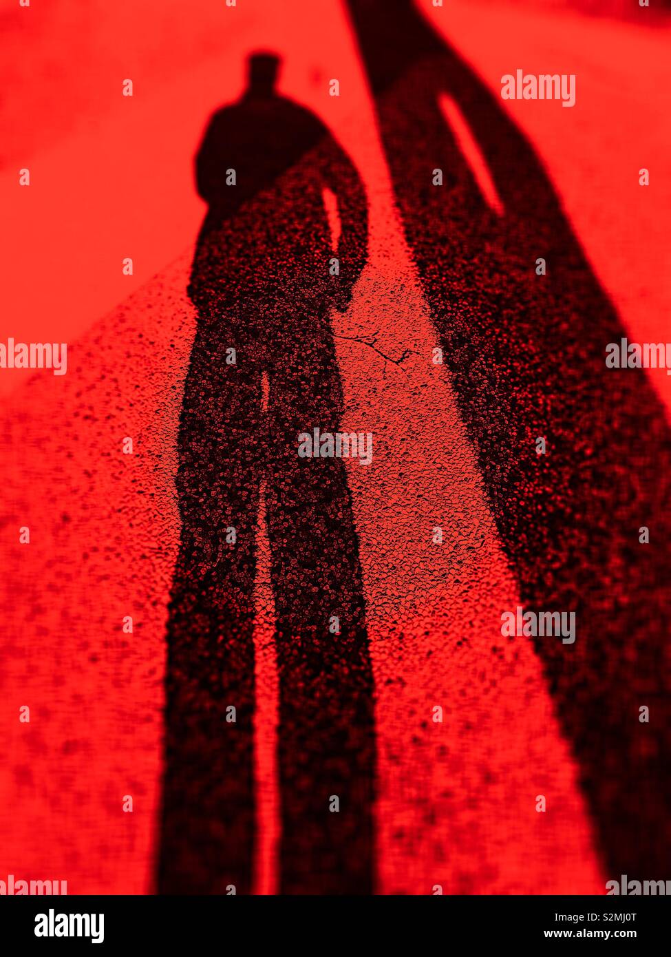 Tree man silhouette smartphone stock photos and images - Alamy
