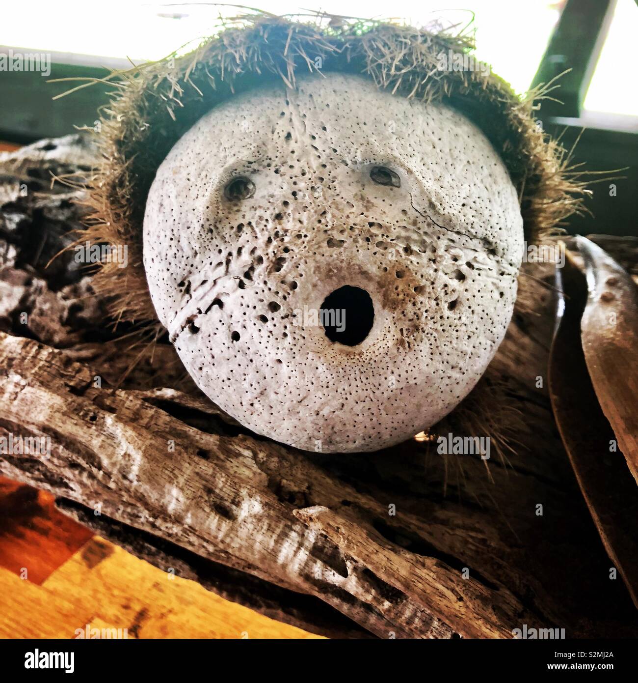 Coconut face hi-res stock photography and images - Alamy