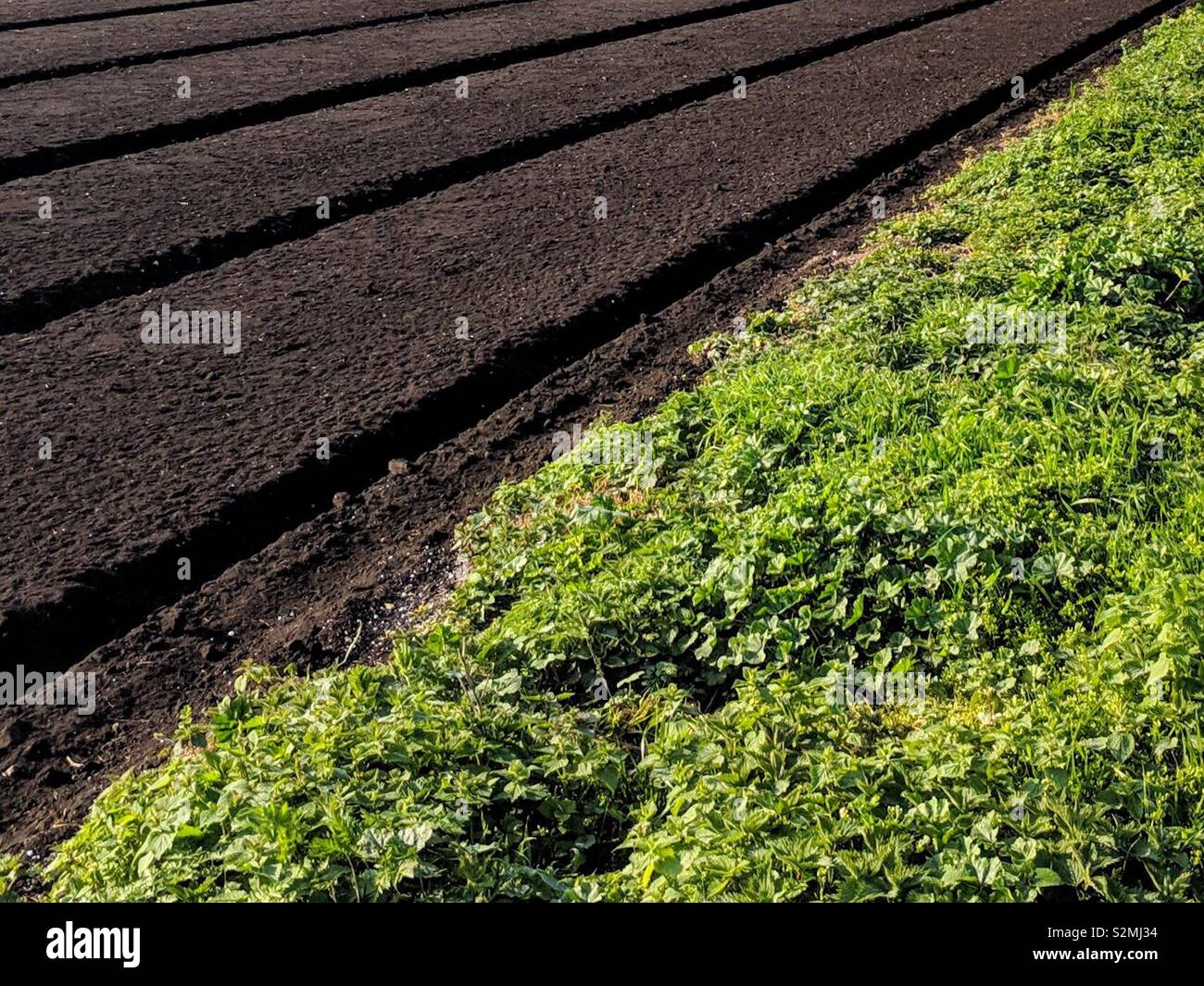 Verge earth hi-res stock photography and images - Alamy