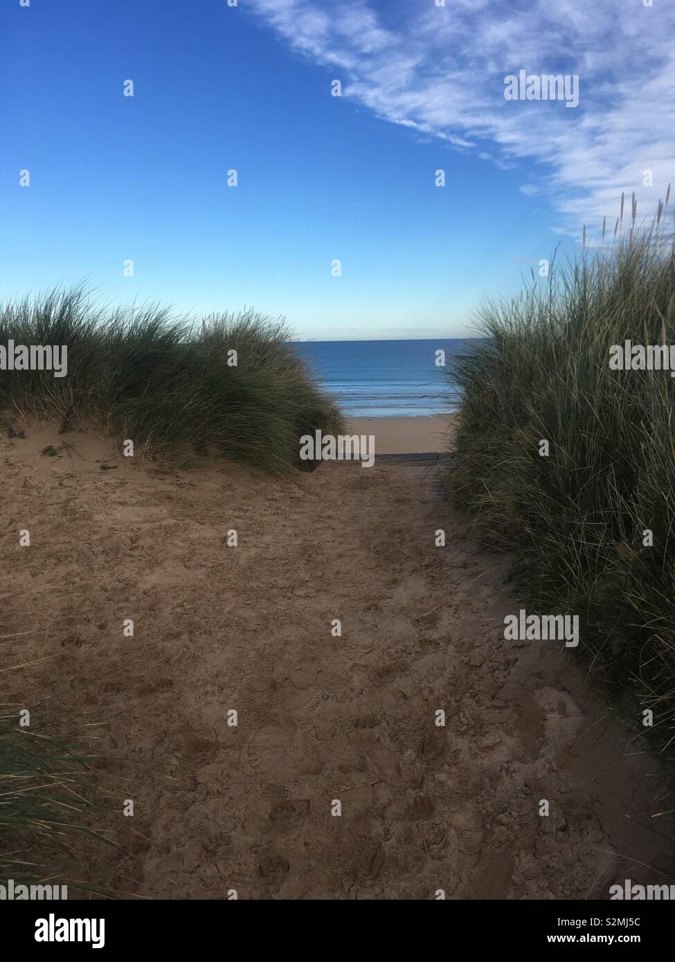 British beauty hi-res stock photography and images - Alamy