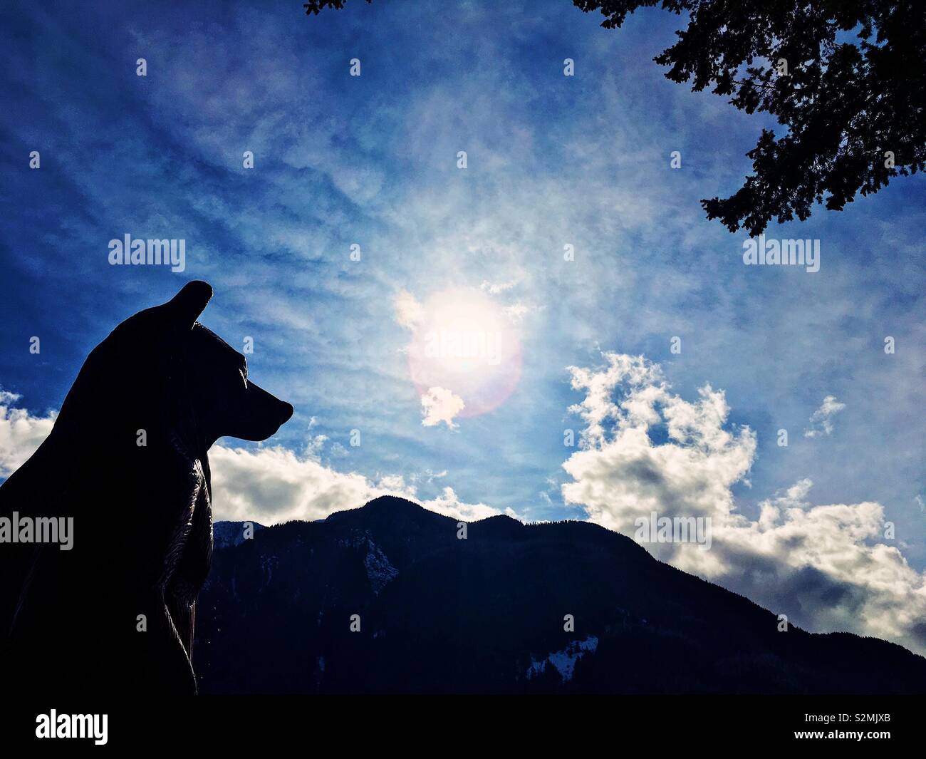 Bear art hi-res stock photography and images - Alamy