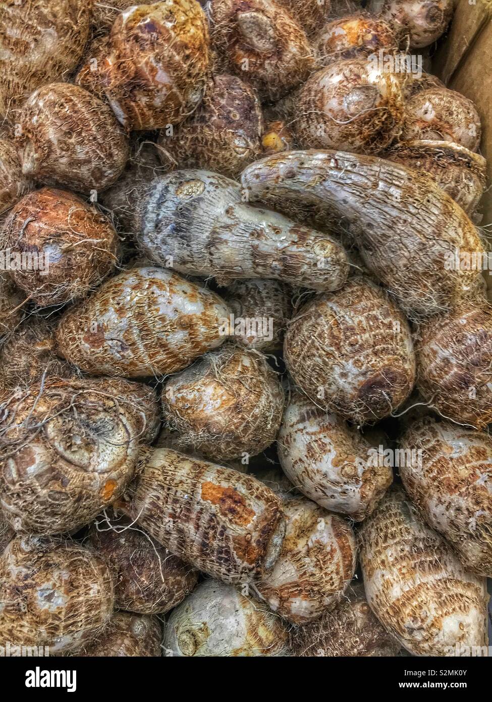 Eddo hi-res stock photography and images - Alamy