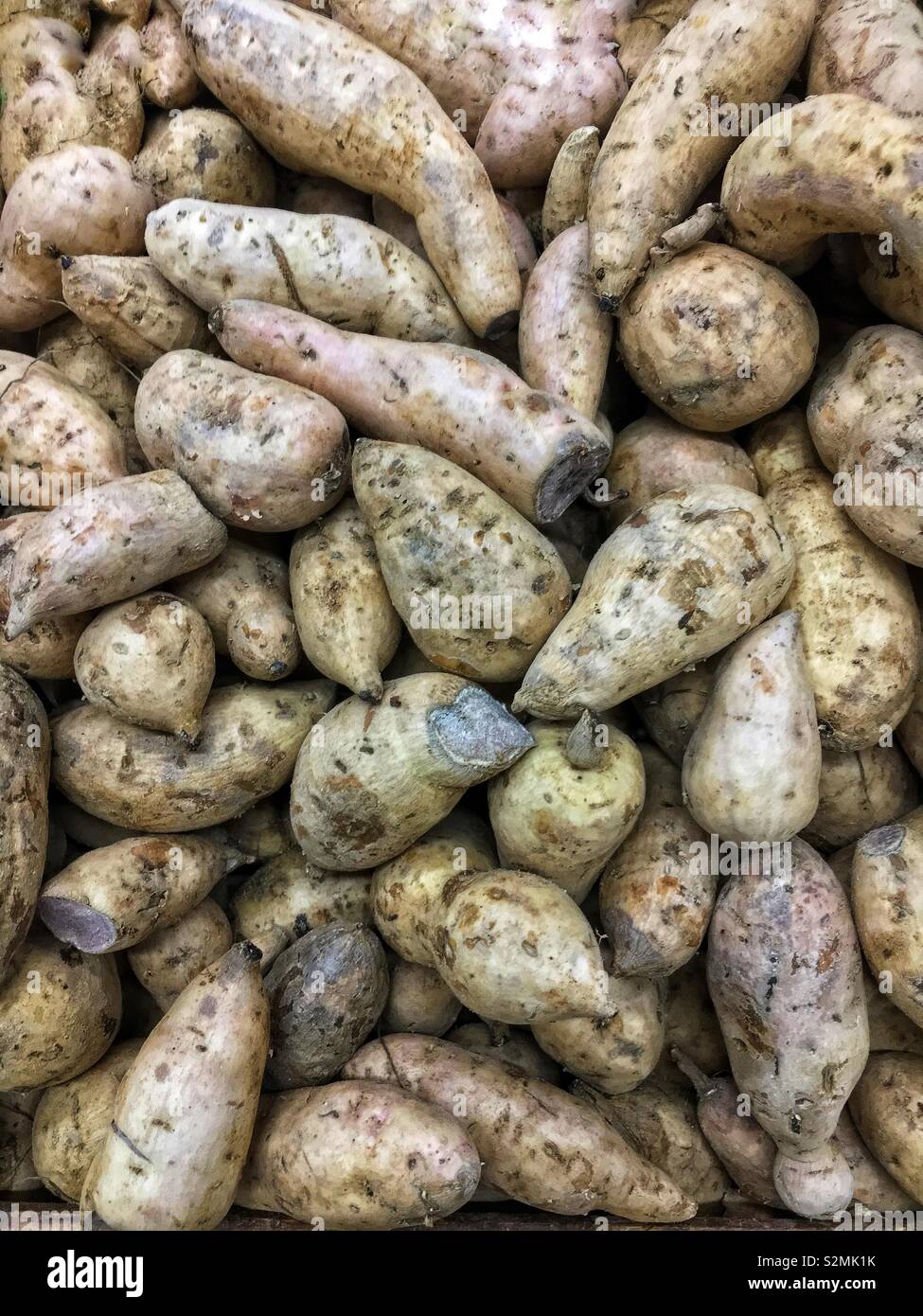 Hawaiian specialty hi-res stock photography and images - Alamy