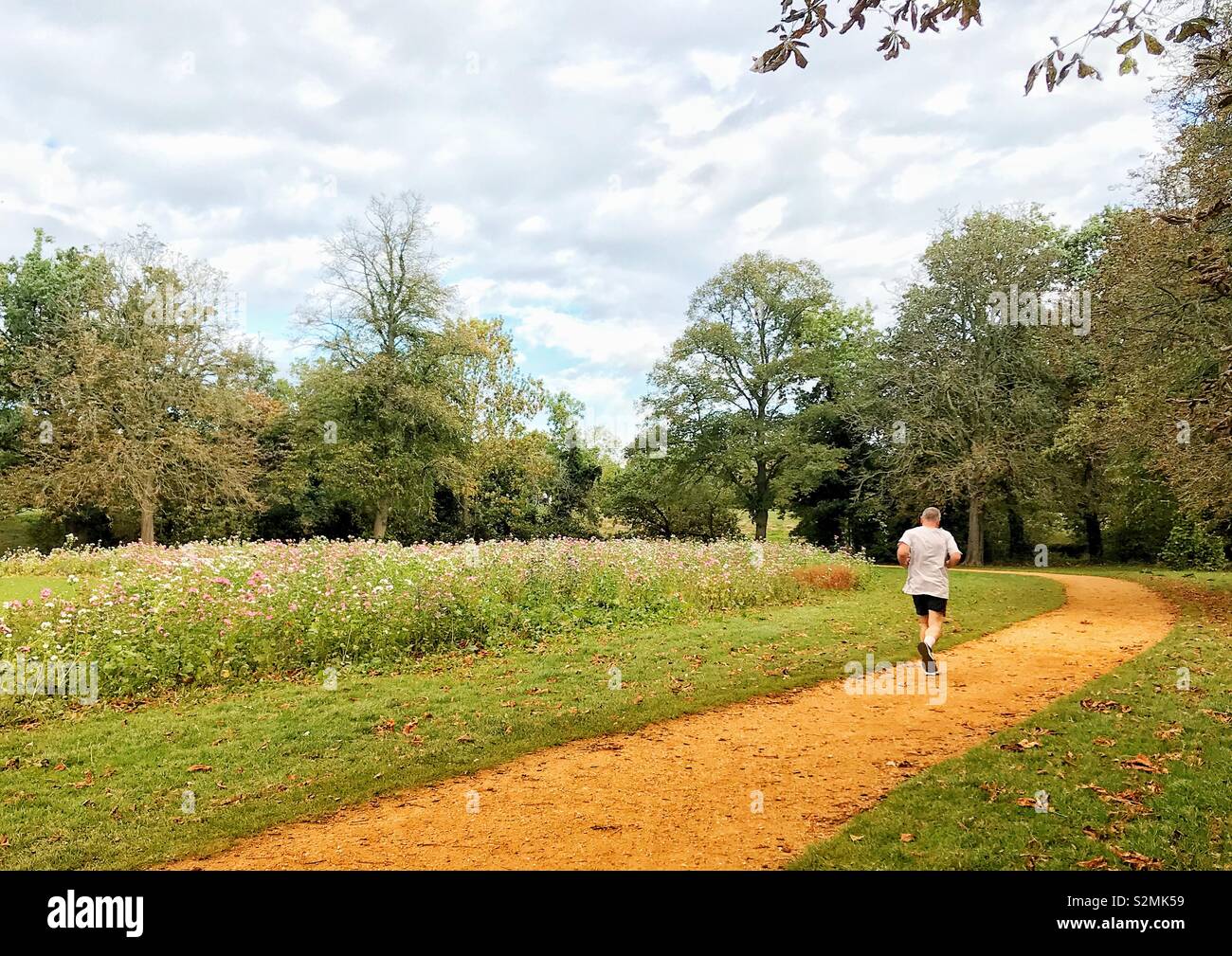 Older man running in the park Stock Photo - Alamy