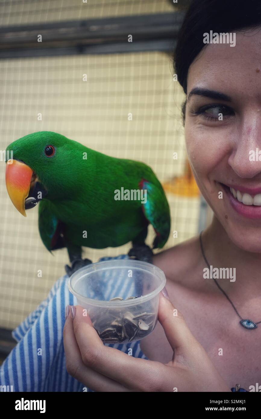 Parrot on shoulder hi-res stock photography and images - Alamy