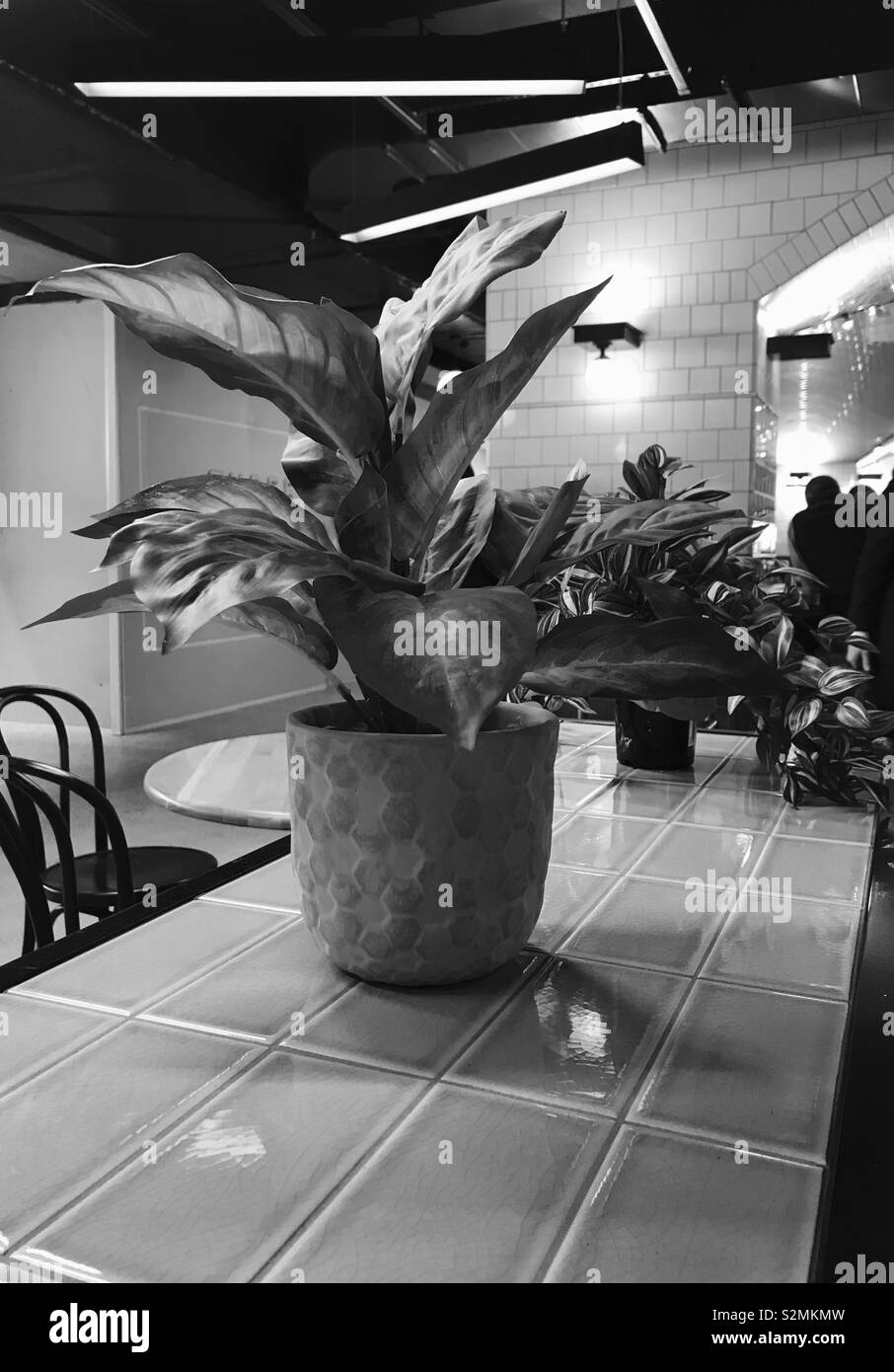 Potted tiles hi-res stock photography and images - Alamy