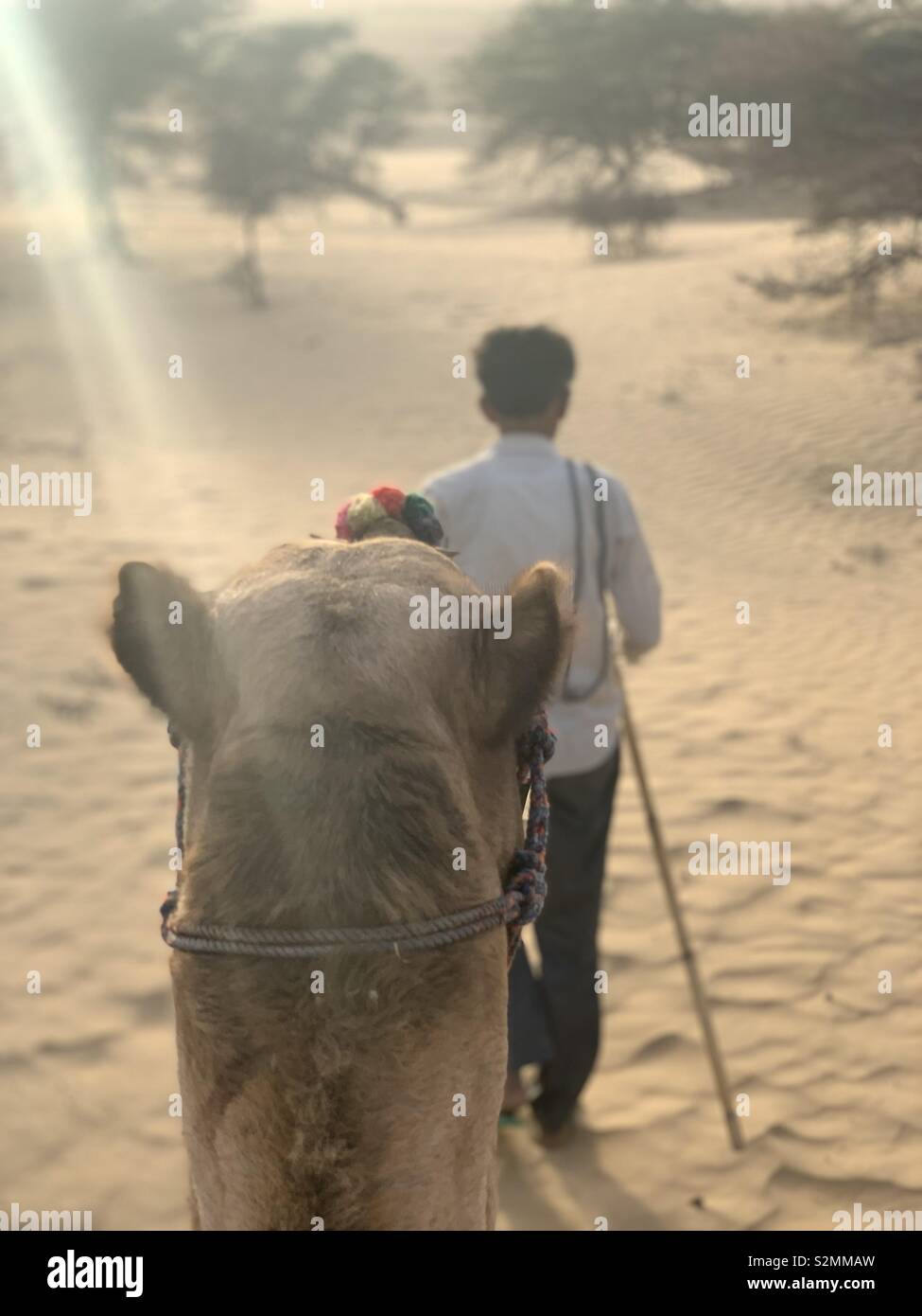 India thar desert hi-res stock photography and images - Alamy