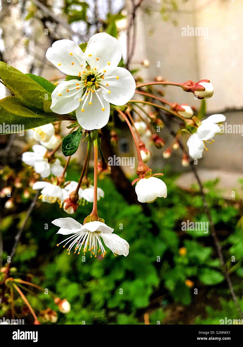 Spring mood hi-res stock photography and images - Alamy